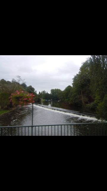 Франция. Бретань. Экскурсия на утиную ферму