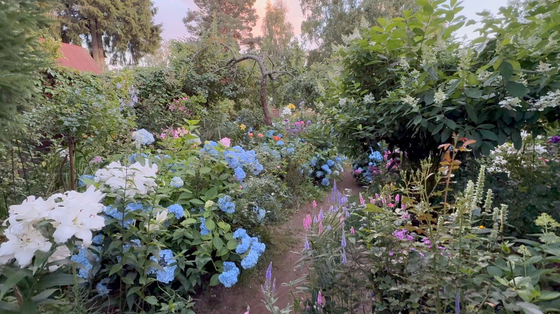 Август в Саду 11 августа 2025 часть 2