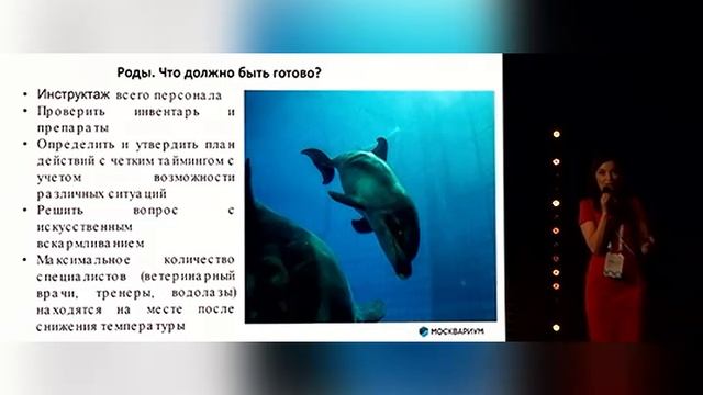 Мониторинг и ведение беременности, родов и послеродового периода у афалинСуворова Ирина Вячеславовн