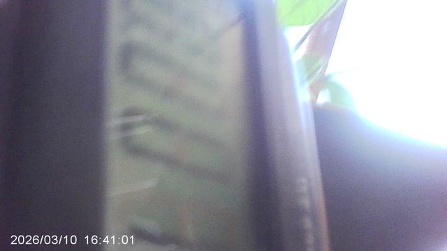 Электронаблюдение на комнатным деревом