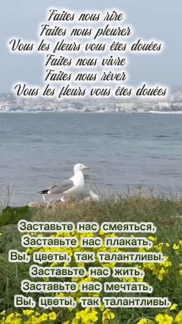 Les jolies fleurs ~ Французские песни