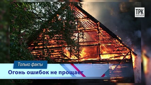 "Территория безопасности" от 03.02.2026