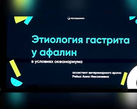 Этиологические причины гастритов у афалин. Комплексный подход к решению проблемы регургитации у тихо