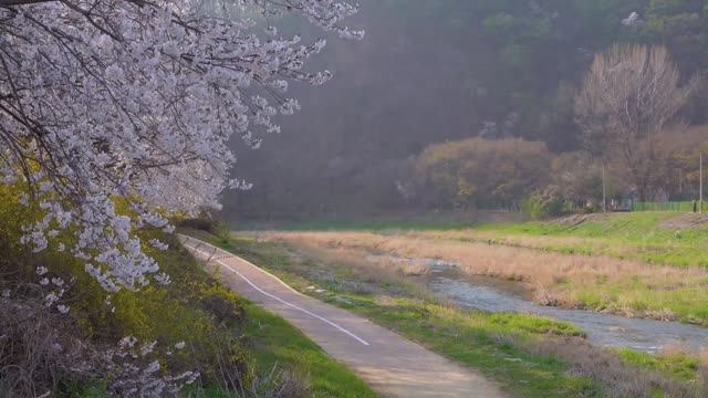 🎵 ДУМЫ О ПРОШЛОМ 🎵