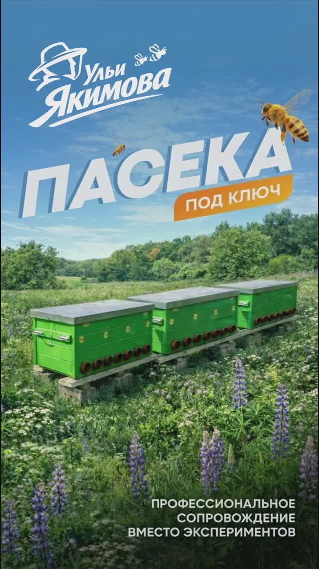Пасека под ключ — ваш старт в пчеловодство без ошибок