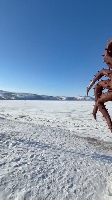 Арт-объект Краб неподалеку от парка Маяк в Магадане