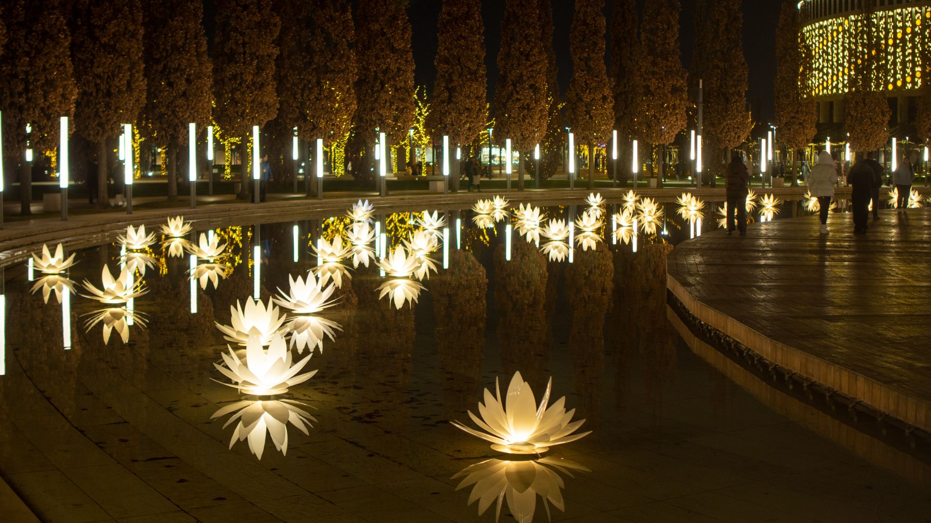 Новогодний парк Галицкого