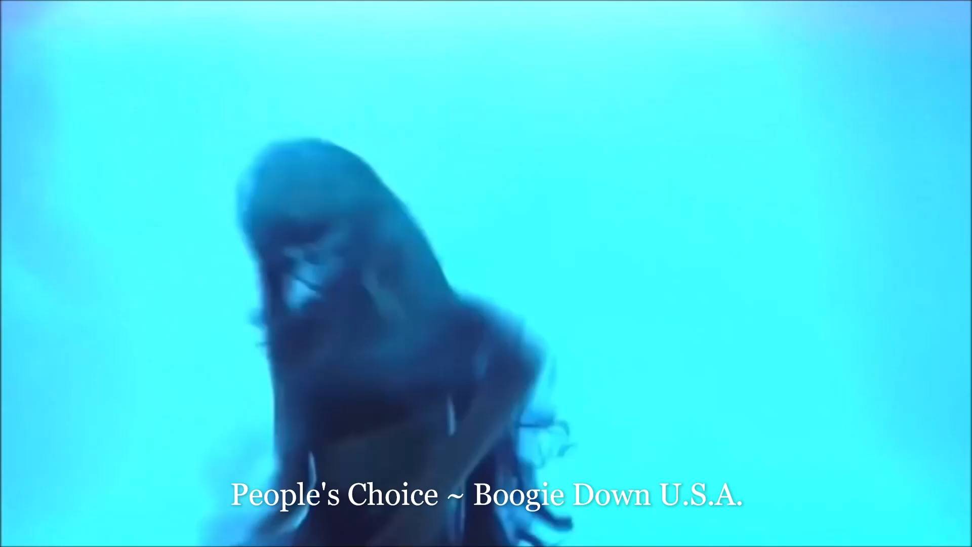 People's Choice ~ Boogie Down U.S.A.