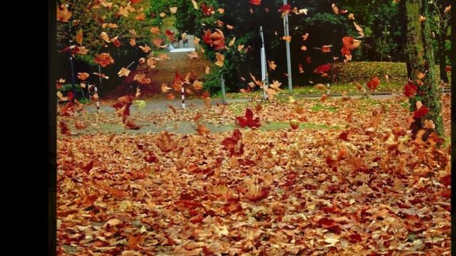 Осенний романс