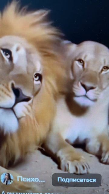 Вот она, семейная жизнь! И всхрапнуть нельзя...