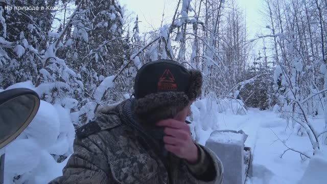 ЕДУ В ТАЁЖНУЮ ИЗБУШКУ НА ТРИ ДНЯ. БУДУ ПРОВЕРЯТЬ КАПКАНЫ НА КУНИЦ. 1 серия