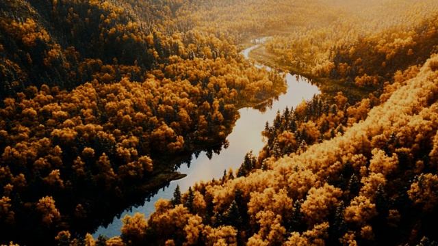 Сменили пыл мечты когда-то блудные