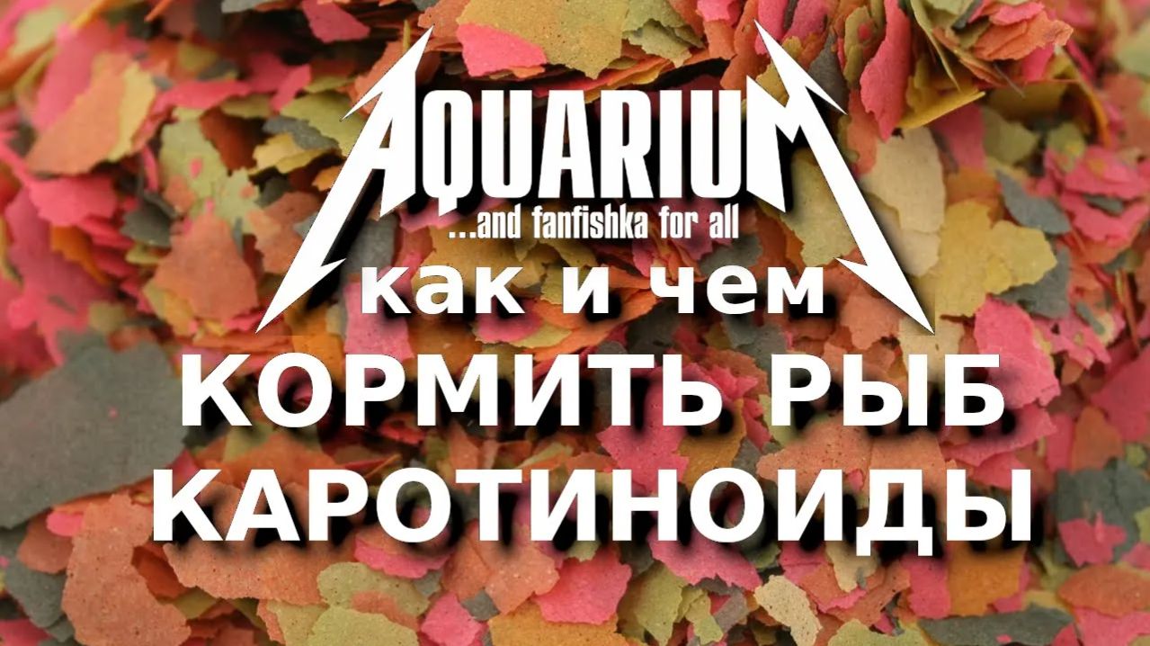 Как и чем кормить аквариумных рыб: каротиноиды