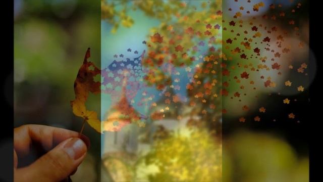 Осеннее настроение