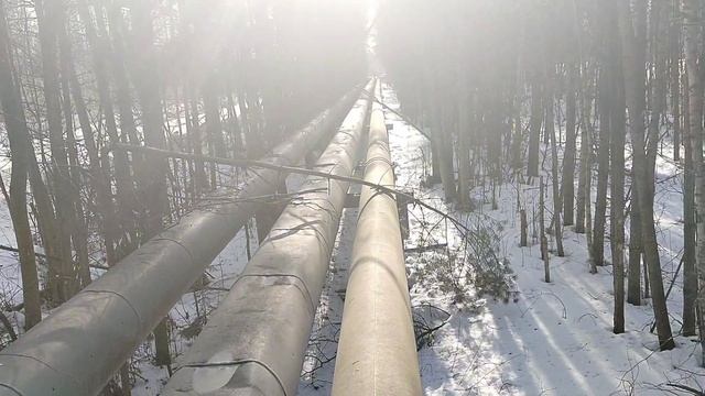 Замри, прошу из далека \авторская песня\