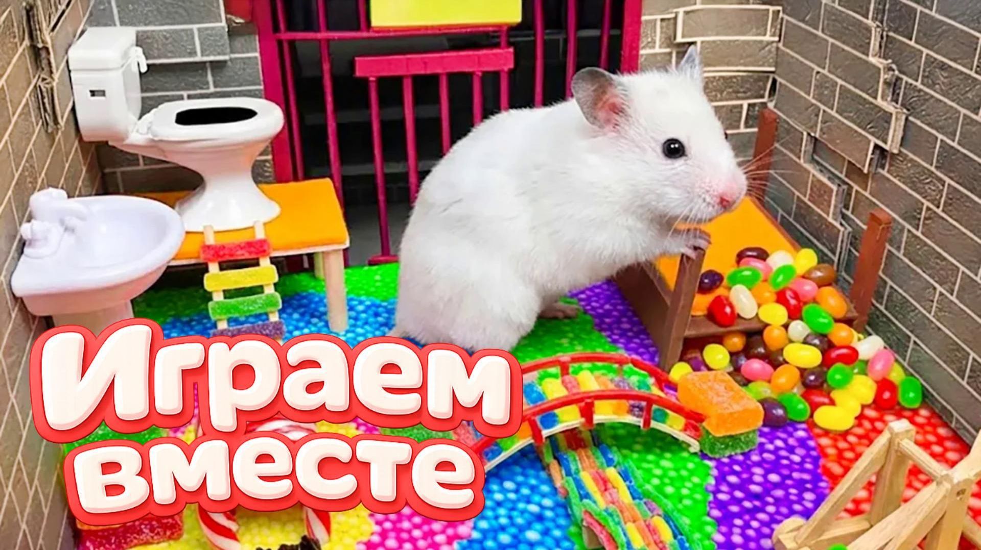 ХОМЯК ВЫБИРАЕТСЯ ИЗ СЕКРЕТНОЙ ХОМЯЧЕЙ ТЮРЬМЫ 🏁🐹 Помогаем выбраться из лабиринта №3