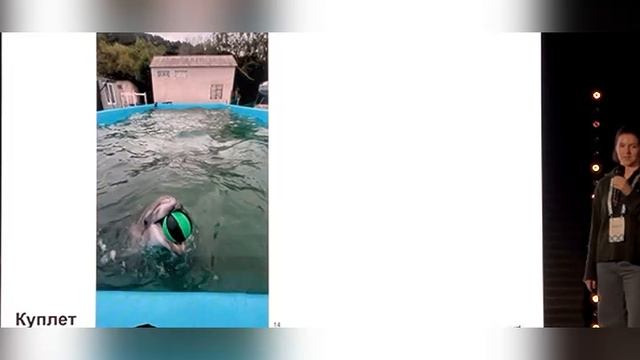 Сигнализация черноморской афалины в контексте обучения в условиях неволиБутрим Анна Викторовна