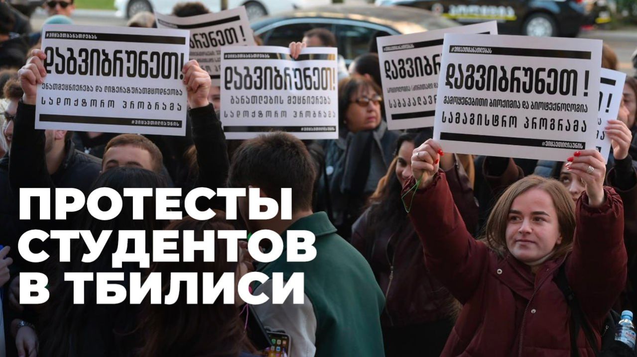 В Грузии начались протесты против реформы системы высшего образования