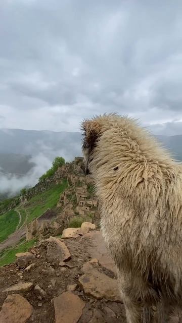 Гамсутль — знаменитый заброшенный высокогорный аул в Гунибском районе Дагестана