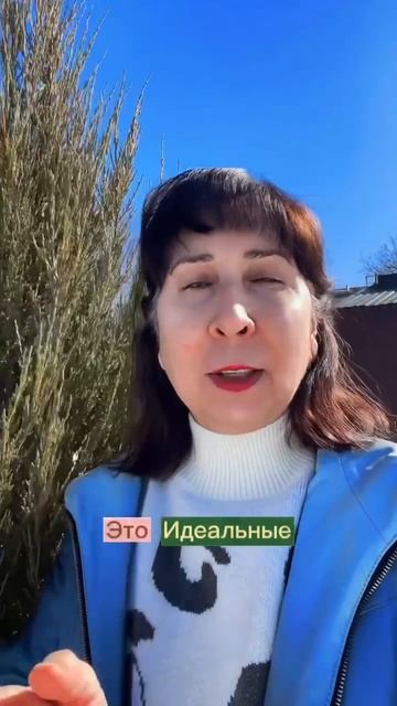 ТВОЙ БУКЕТ ЕЩЁ В ВАЗЕ? ЭТО ХОРОШИЙ ЗНАК!