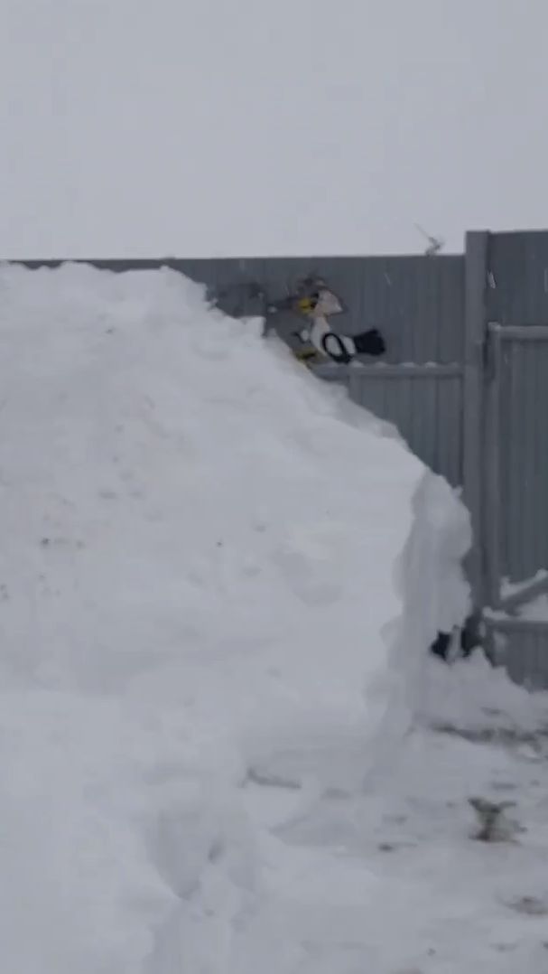 Зимняя дача 2025-26