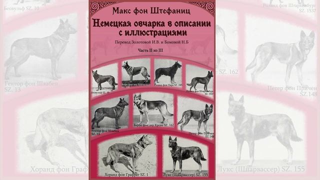2_3 Ознак фрагмент Штефаниц Немецкая овчарка в описании с иллюстрациями