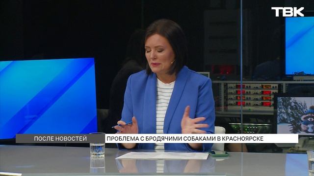 Новый закон об эвтаназии бродячих животных / «После Новостей»