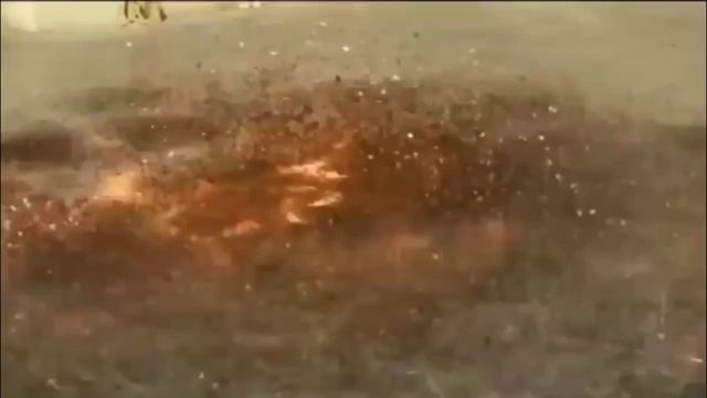 D. White - Like A Phoênix Bird