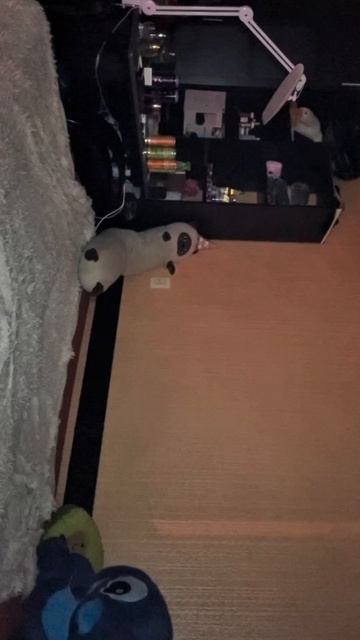 Команда «Карэ» приглашает на фестиваль Лиги КВН ТулГУ