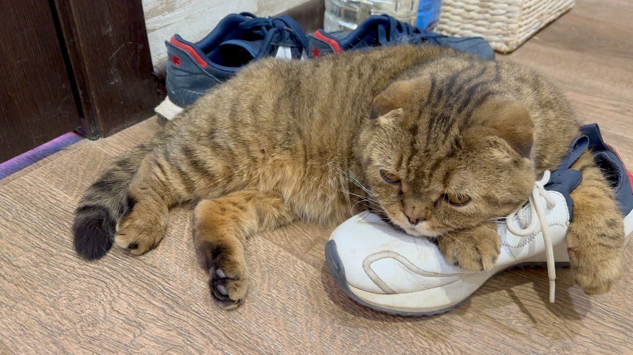 Жизнь вне орхидей