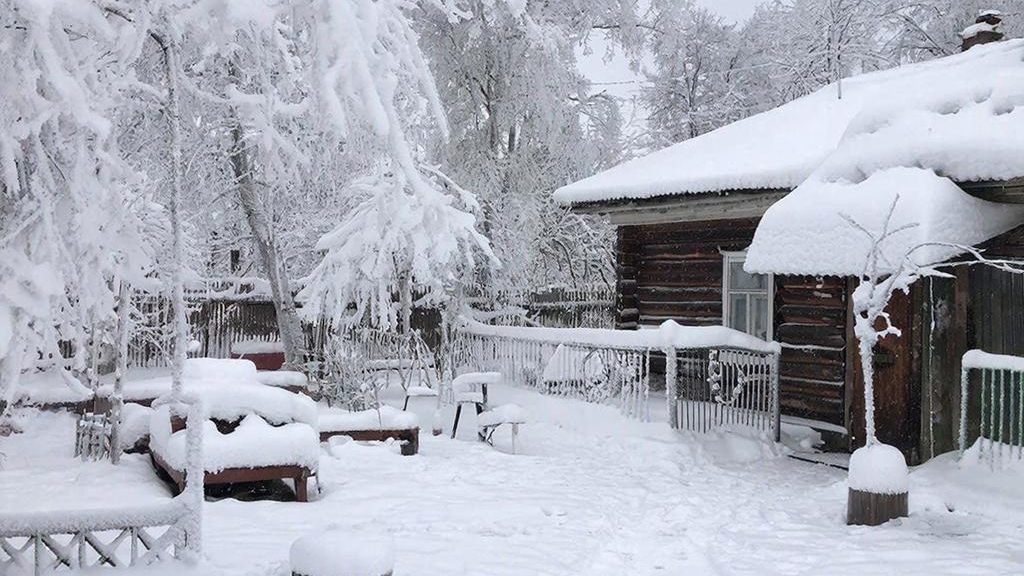 Дача. Снег, снег и снова снег.