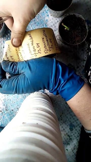 Многоразовая бирка для рассады 1