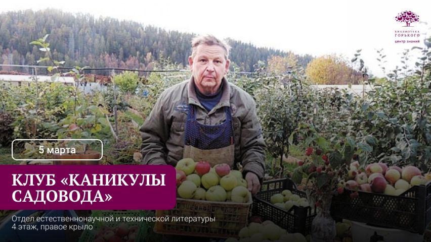 Яблоневый сад интенсивного типа