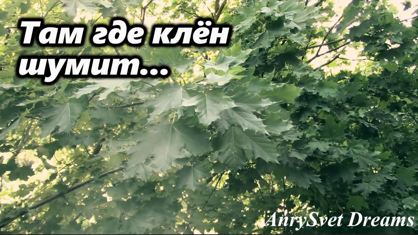 Кавер хита СССР - Там Где Клён Шумит (ВИА Синяя Птица)