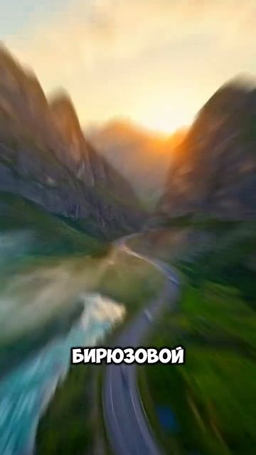 Дороги в АЛТАЕ #shorts