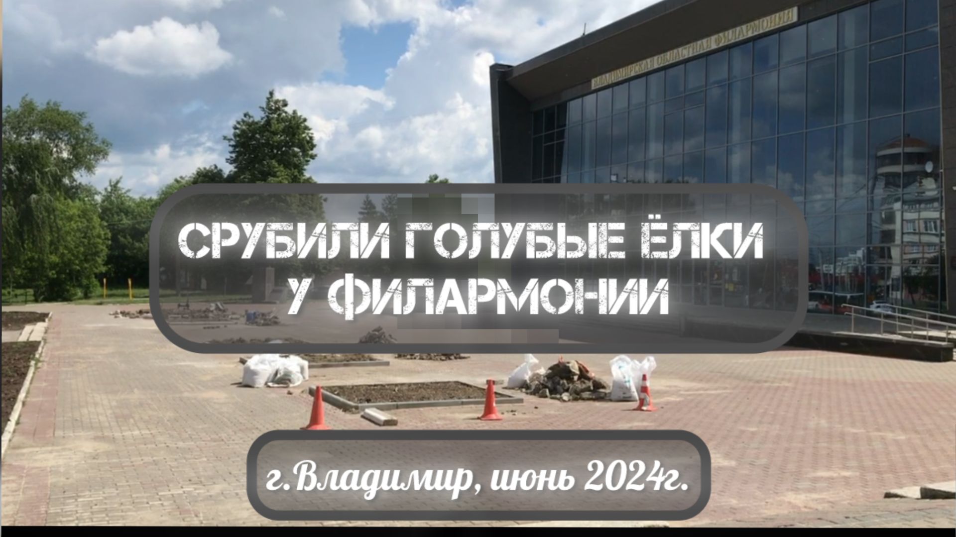 Срубили ёлки у Филармонии / Архив от 15.06.2024