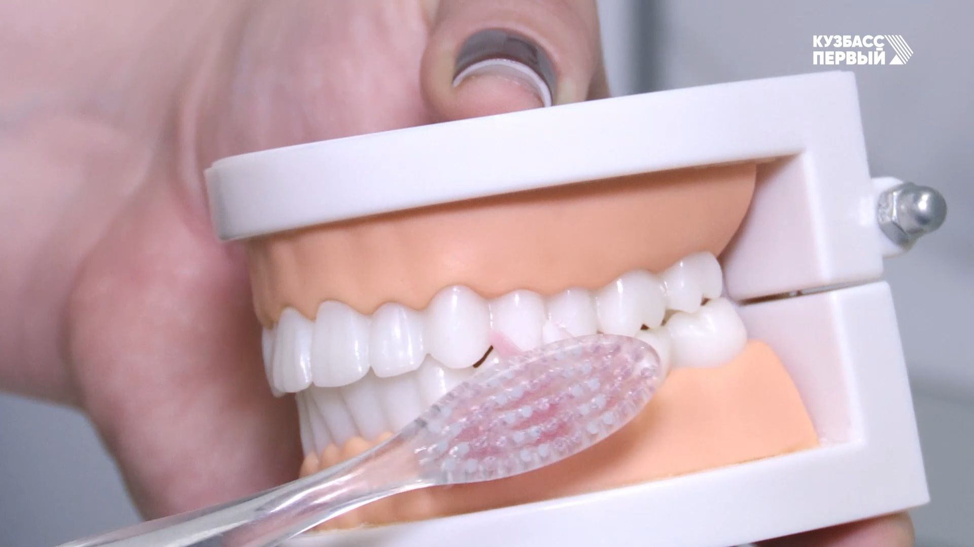 Здоровая улыбка России. Помогут ли сахарозаменители сохранить зубы и почему пахнет изо рта?