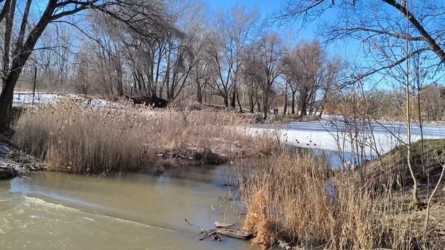 Вышла на прогулку, а тут такое..... 11.03.26.