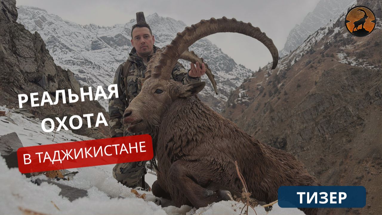 БУХАРСКИЙ КОЗЕРОГ| ТАКЖИКИСТАН|ТИЗЕР|РЕАЛЬНАЯ ОХОТА