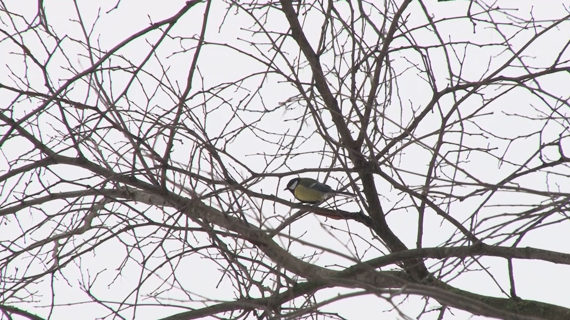 ПОГОДНОЕ НЕПОСТОЯНСТВО