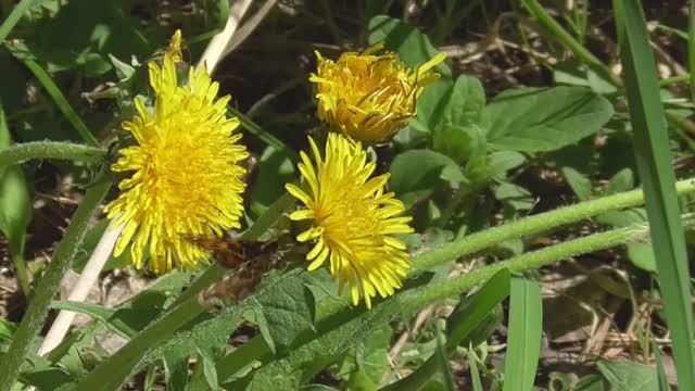 Страницы из 2019г 9ч