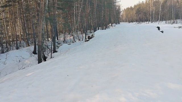 Числа /авторская песня/