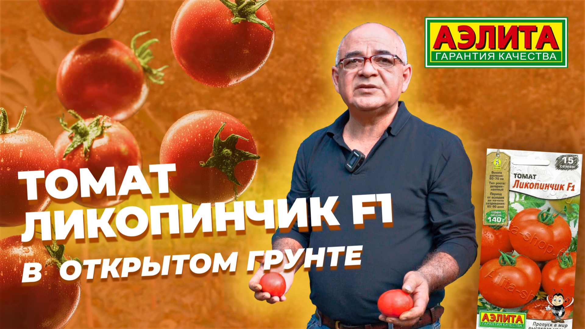 Очень ранний томат! ЛИКОПИНЧИК F1  в ОТКРЫТОМ ГРУНТЕ