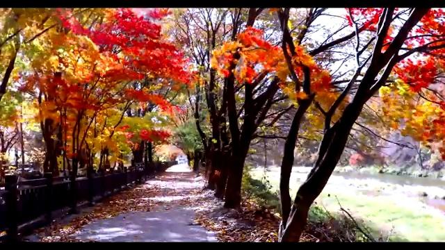 ПРОКАЗНИЦА ОСЕНЬ Музыка Сергей Грищук @grishchuksergey