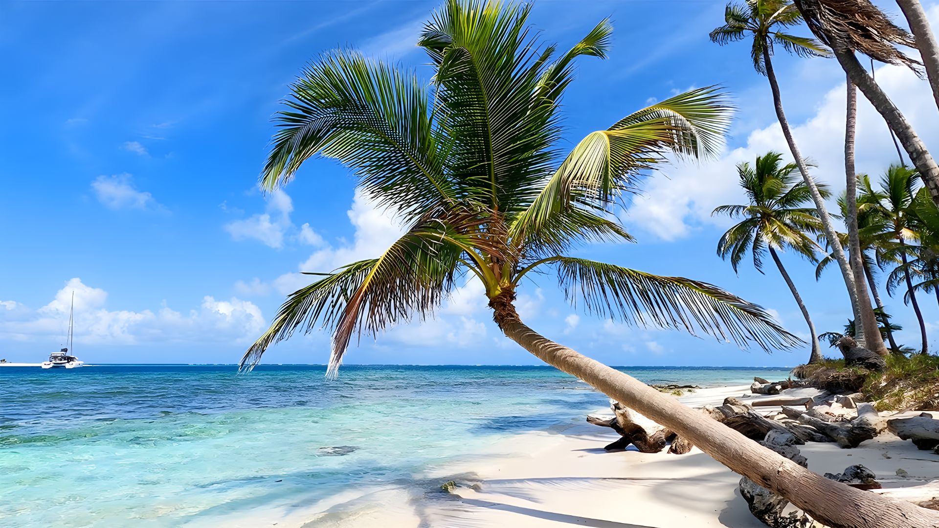 Уединенная атмосфера тропического пляжа 🏝️ Для глубокого расслабления и медитации.