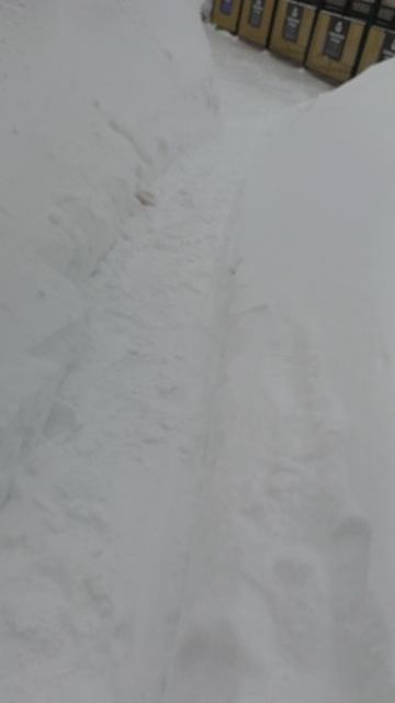 №1664 Двор Сибирская 73. 11 марта 2026 г., 16:34:42 VID_20260311_163354777