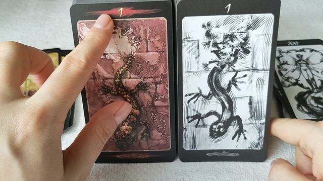 Таро Заповедного Леса. Обзор колоды.