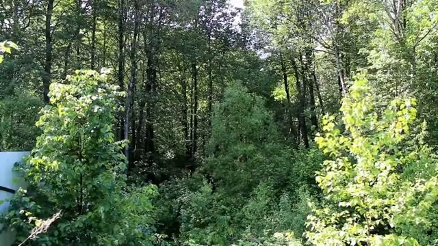 Бабушка сломала мошенницу из фонда ОМС, которая так и не смогла вручить новый по