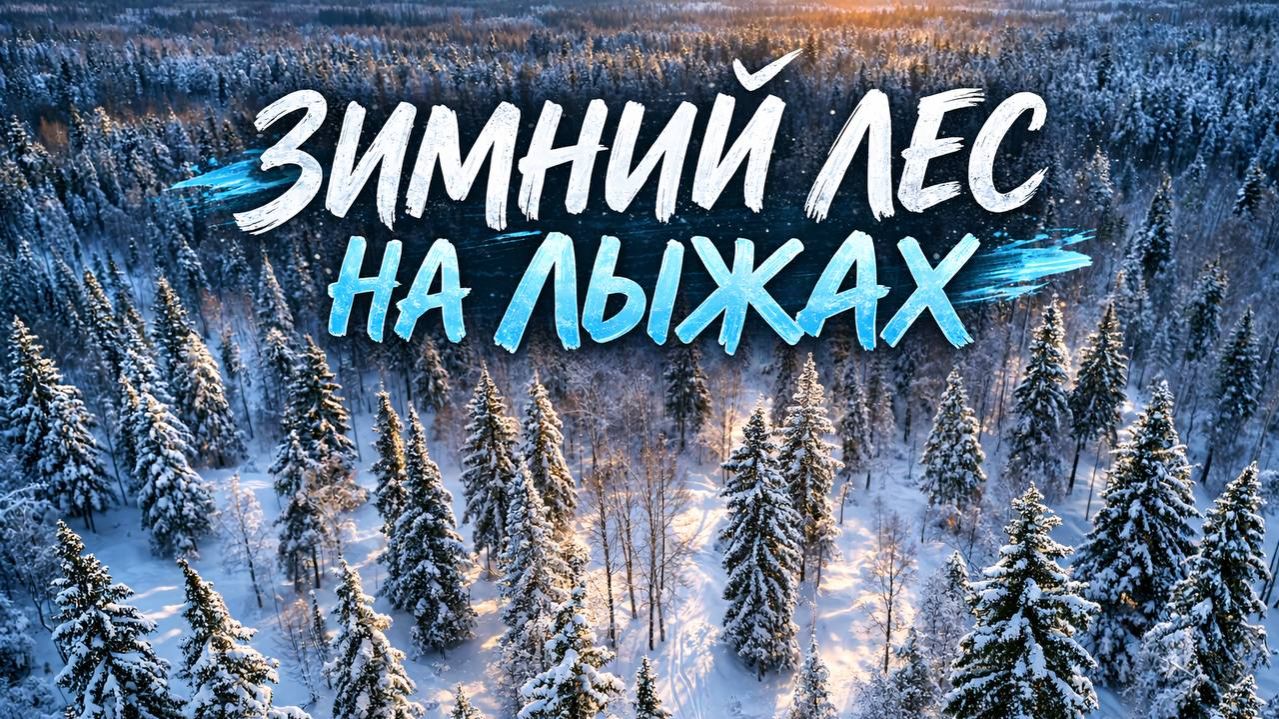 Такого я не ожидал - лыжная прогулка пошла не по плану)