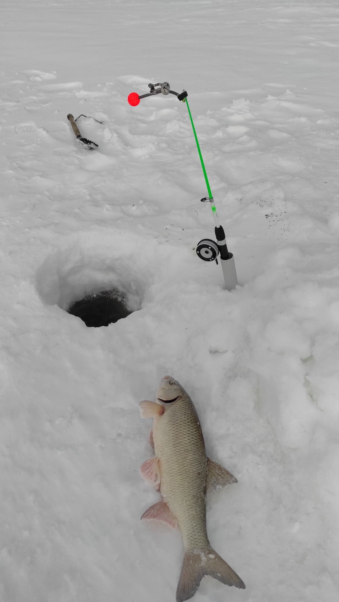 Мартовский ЯЗЬ!